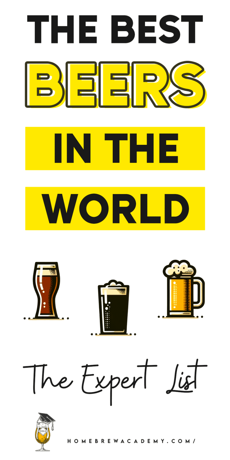 Discover the Best Beers in the World Today