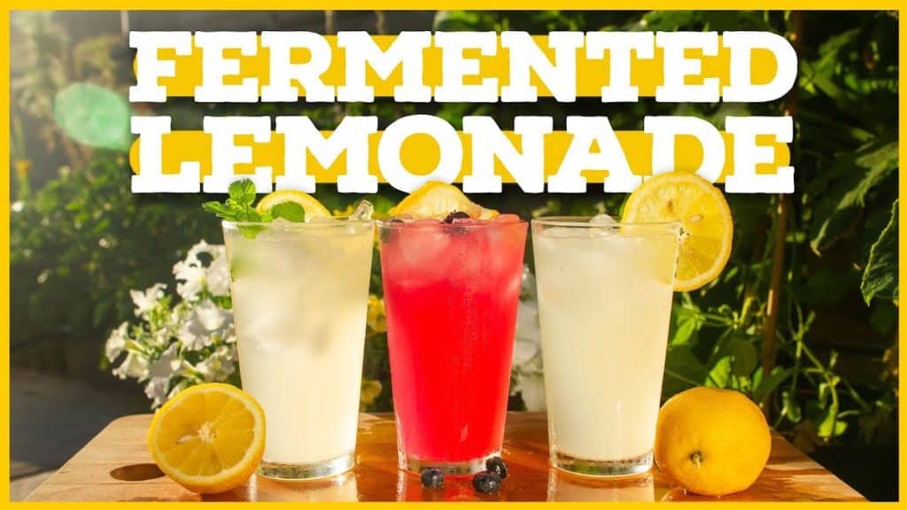 EASY Fermented Lemonade [with Probiotics!]