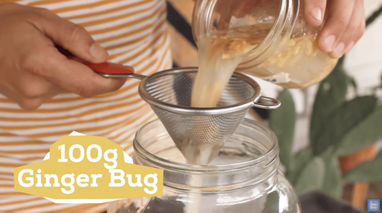 EASY Fermented Lemonade [with Probiotics!]