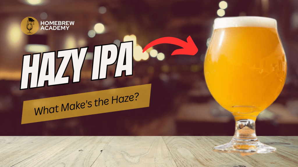 What is a Hazy IPA and Why is it so Popular?
