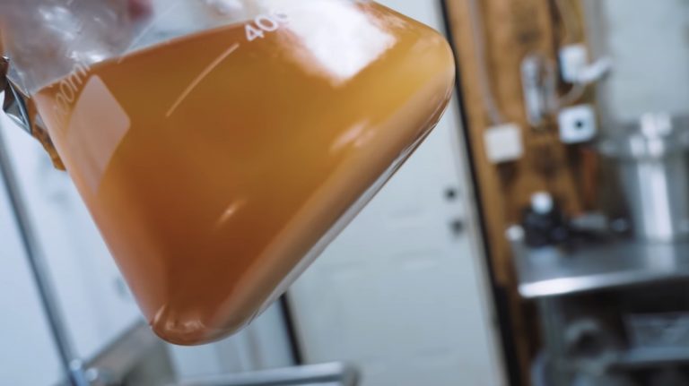 How To Brew Märzen Oktoberfest Beer [Full Recipe] Homebrew Academy