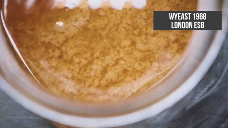 How To Brew British Strong Ale [Full Recipe] Homebrew Academy