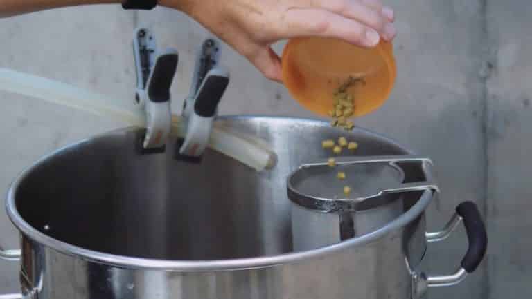 How To Brew California Common Beer [Full Recipe] Homebrew Academy