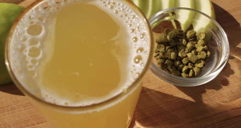 How to Make Hazy Hopped Hard Cider: From Apple Orchard to Hop Garden