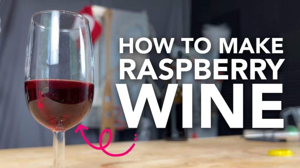 How To Make Raspberry Wine A Simple One Gallon Recipe From Start To Finish