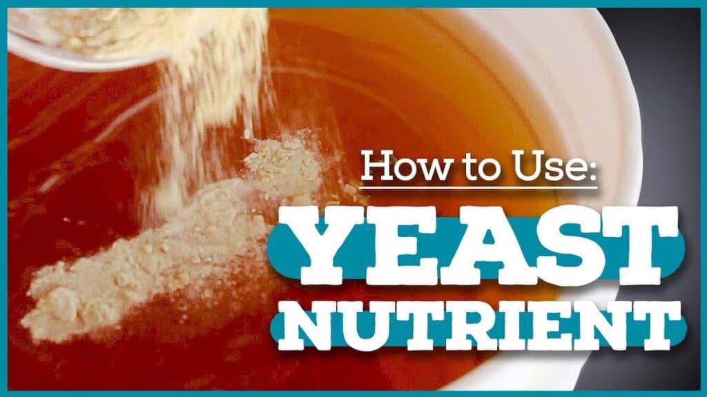 YEAST NUTRIENT for Fermentation: Home Brewing Basics
