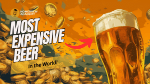 The World of Luxury Brews: Top 10 Most Expensive Beers