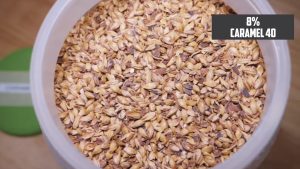 Malted Barley: Potential Power of the Perfect Grain [Deep Dive into ...