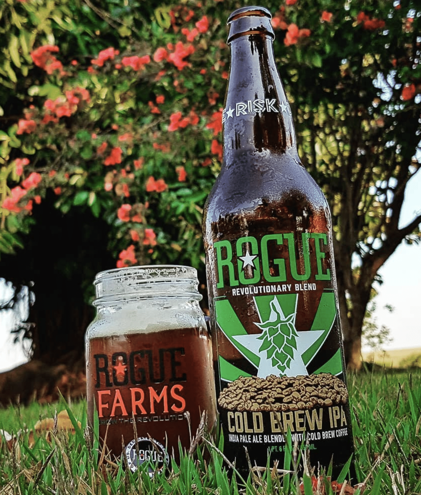 Java & Hops: Crafting the Perfect Coffee Beer Blend with a Twist