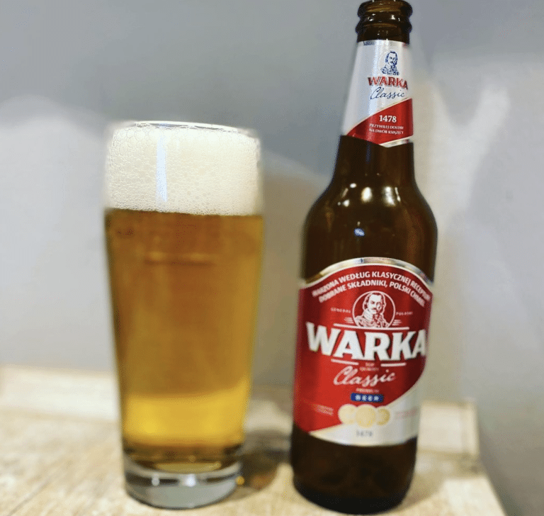 Best Polish Beers: Decoding the Secret Pleasures of Polish Pints [Must ...